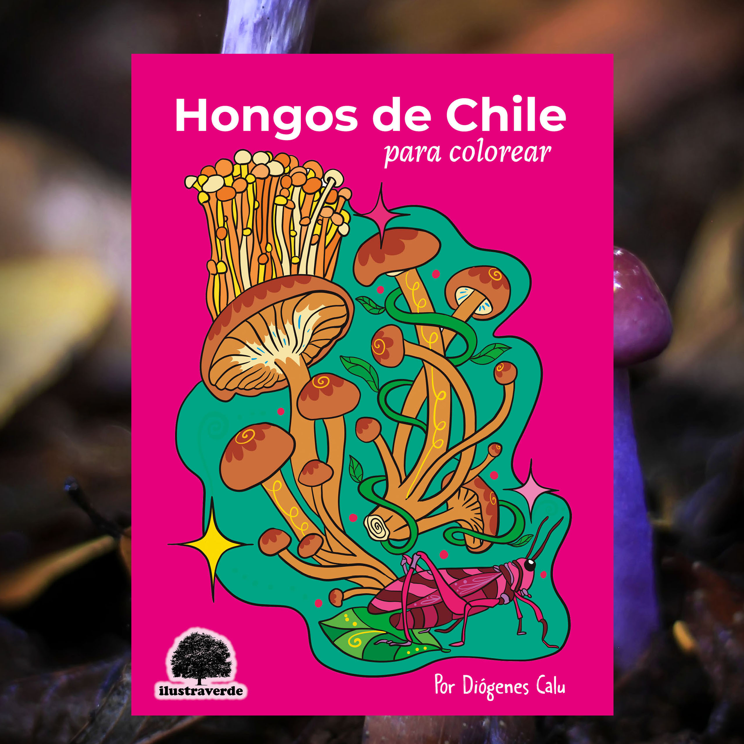 Hongos de Chile para colorear – Ilustraverde